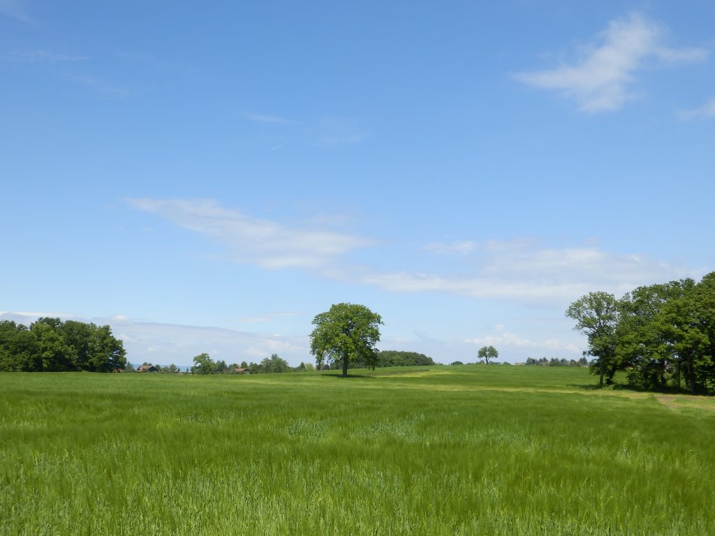 Site officiel de la commune de Messery